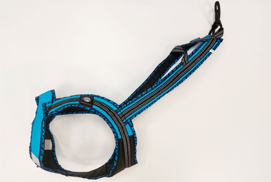Harness FASTER ROYAL (L, turquoise-turquoise) | ZeroDC s.r.o.